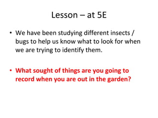 Mini Beasts – Bugs And More | PPT | Biological Sciences | Science