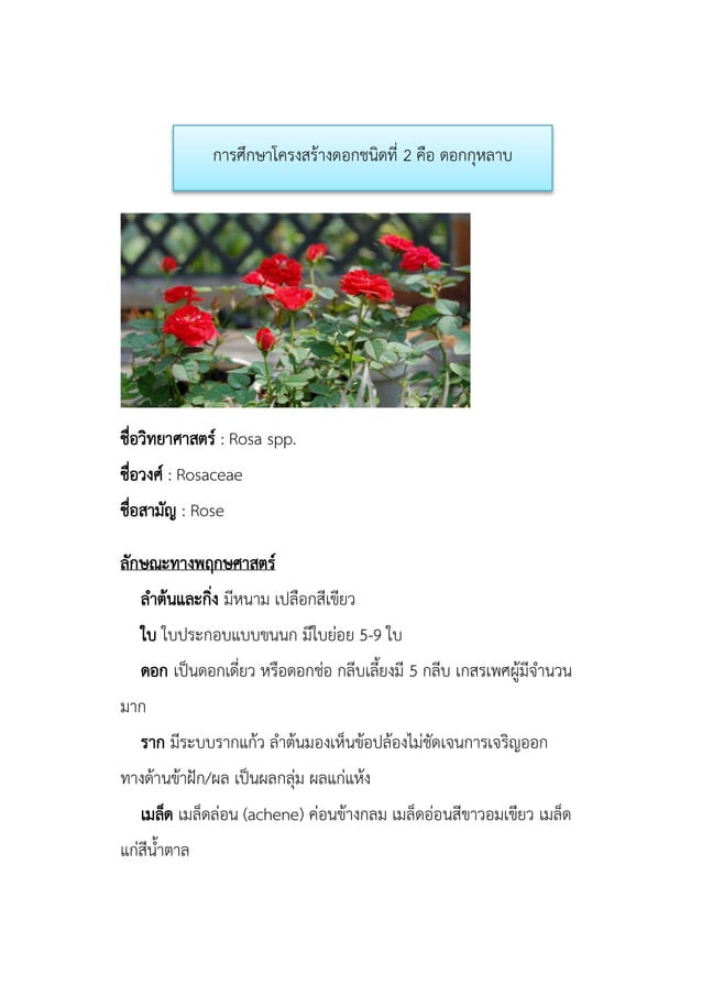 group 1 room 656 | PDF