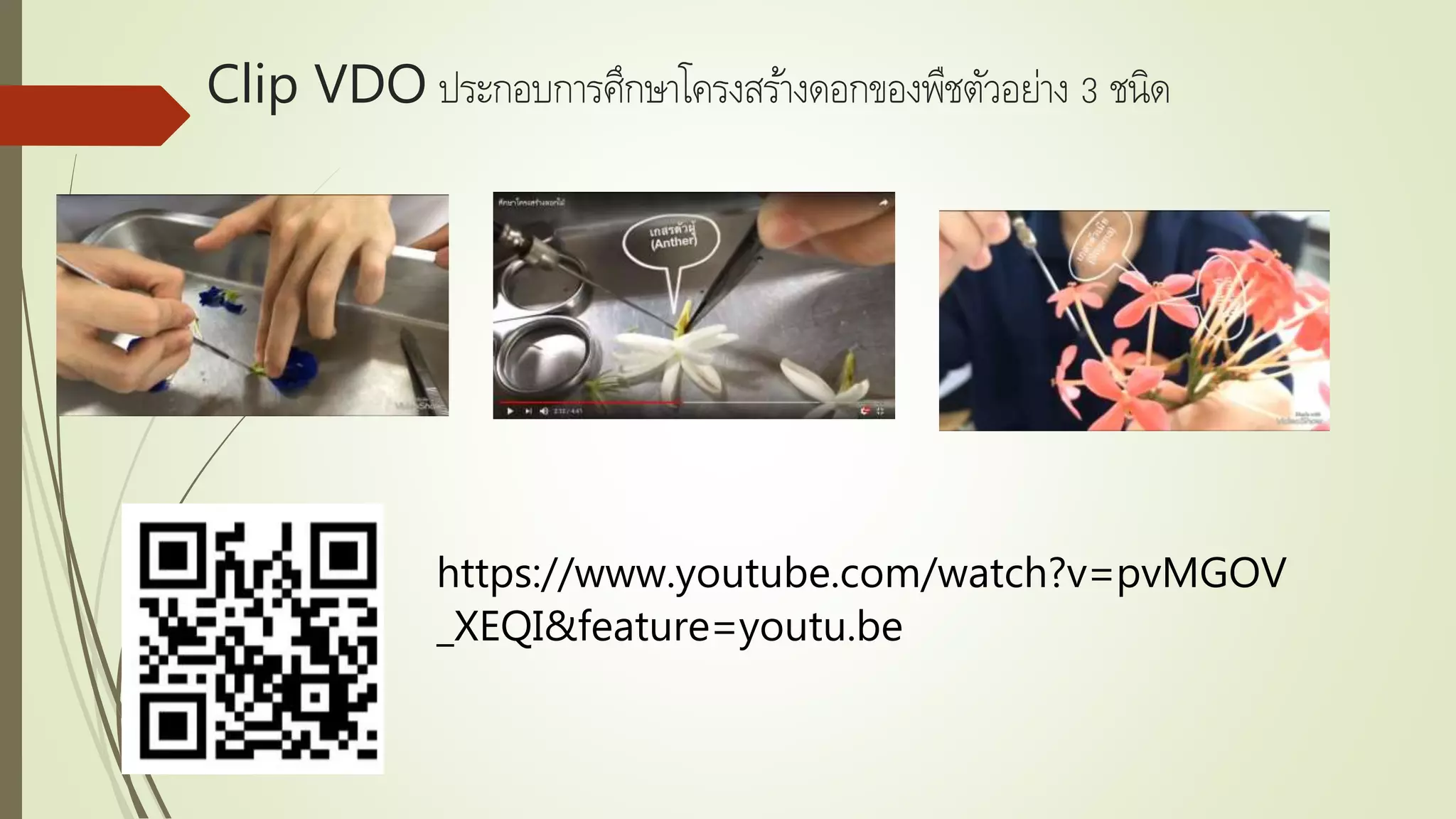 Minibook bio 834 group 5 | PPTX