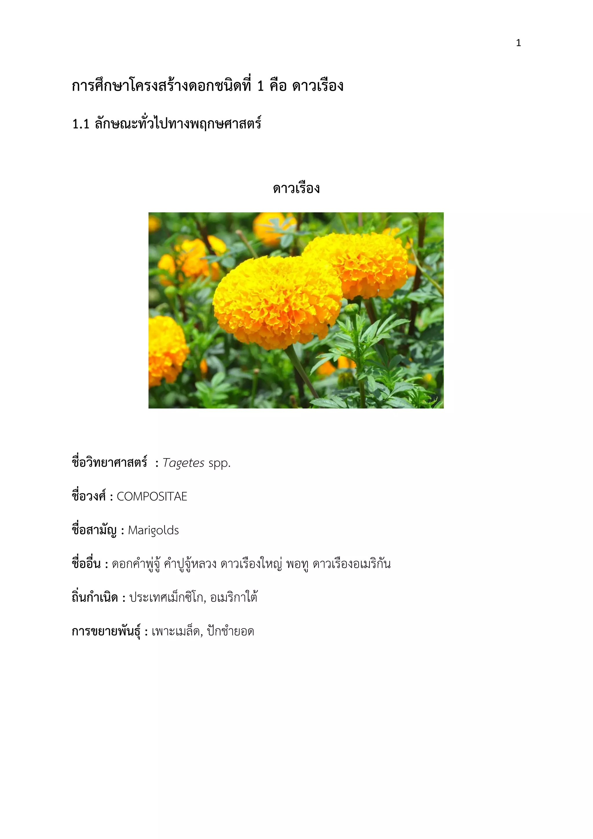 Minibook pdf 931 number 5,6,15,32 | PDF