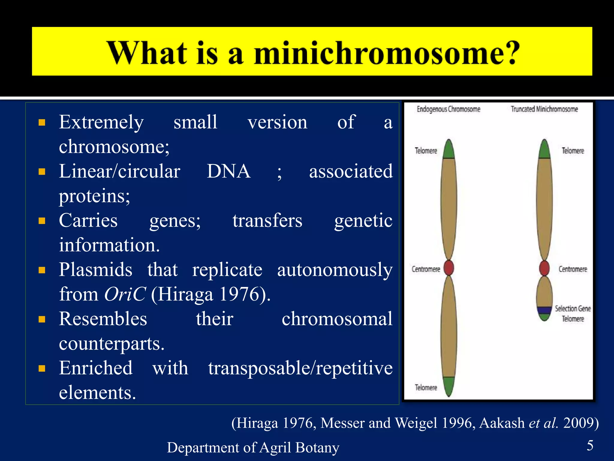 Minichromosome technology | PPTX