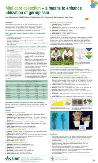 Mini core collection – a means to enhance utilization of germplasm | PDF | Agriculture | Industries