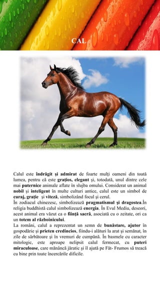 Mini ghid consilieri scolari dezvoltare personala | PDF