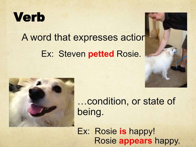 Mini lesson verbs | PPT