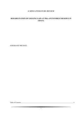 Mini literature review exercise | PDF