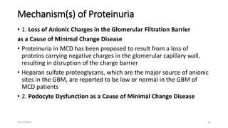 MINIMAL CHANGE DISEASE.pptx