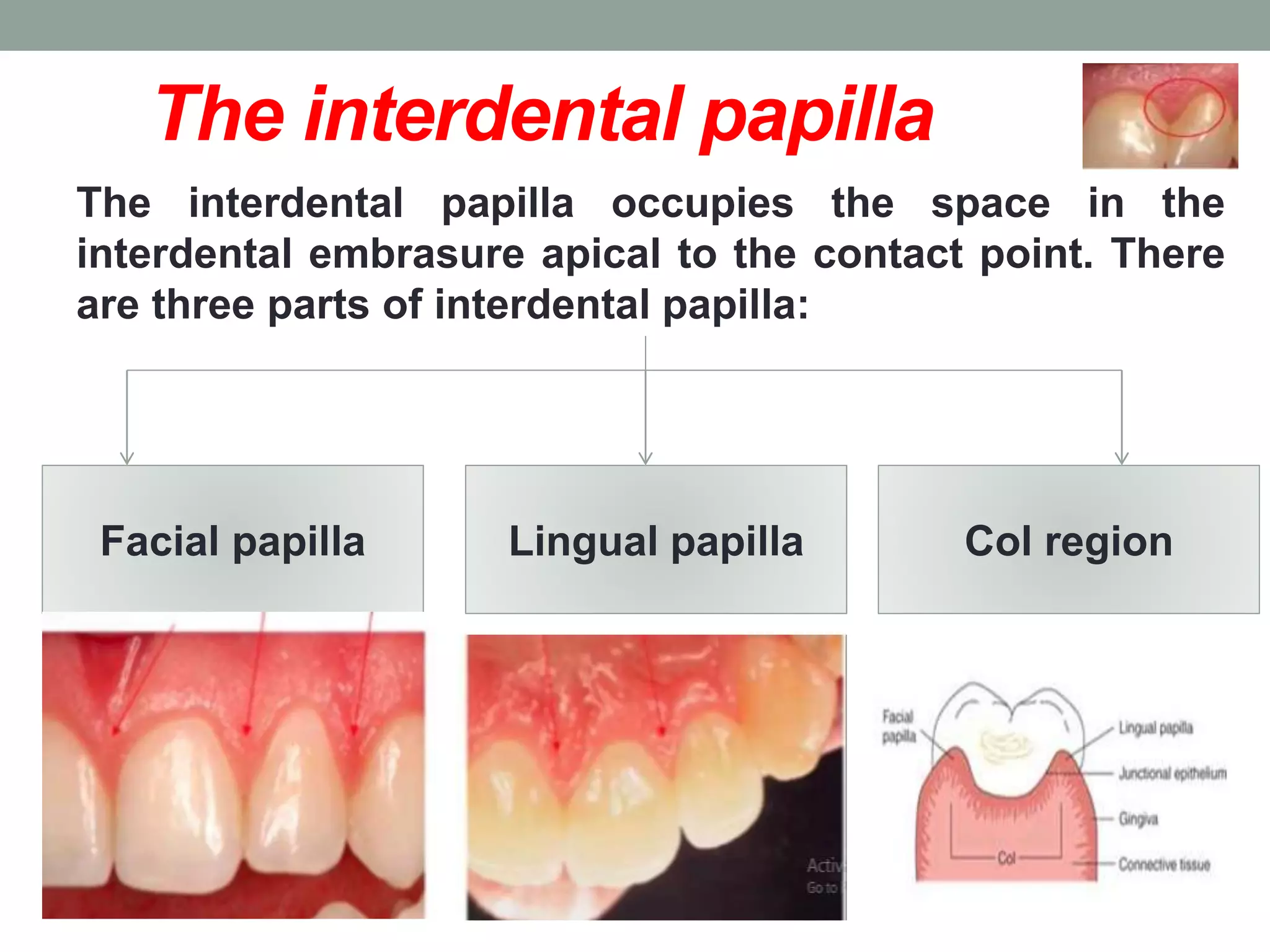 Minimal invasive techniques | PPTX