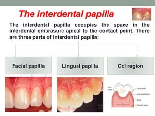 Minimal invasive techniques | PPTX