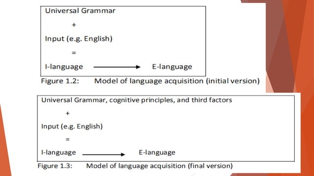 Minimalism.pptx | Programming Languages | Computing