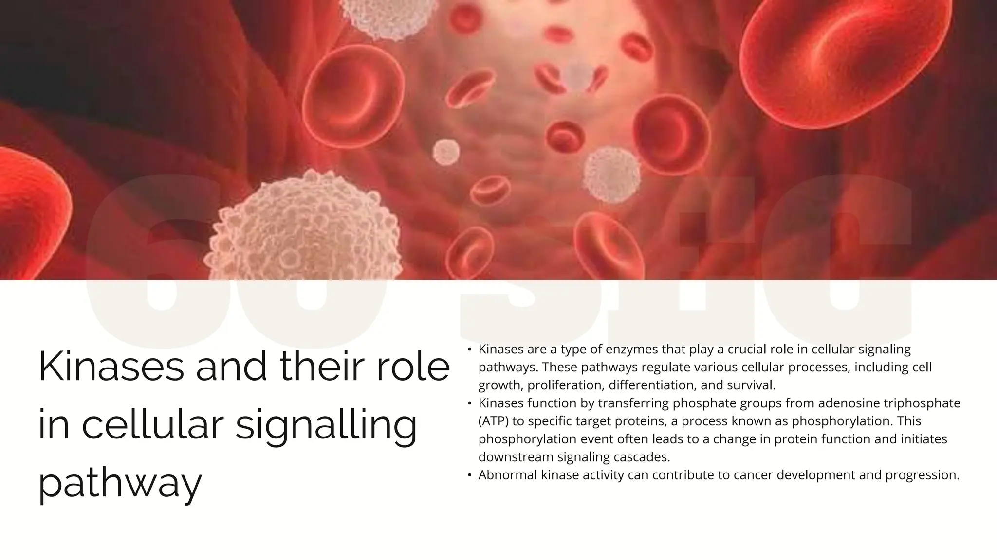 Kinase inhibitors in cancer treatment.pptx