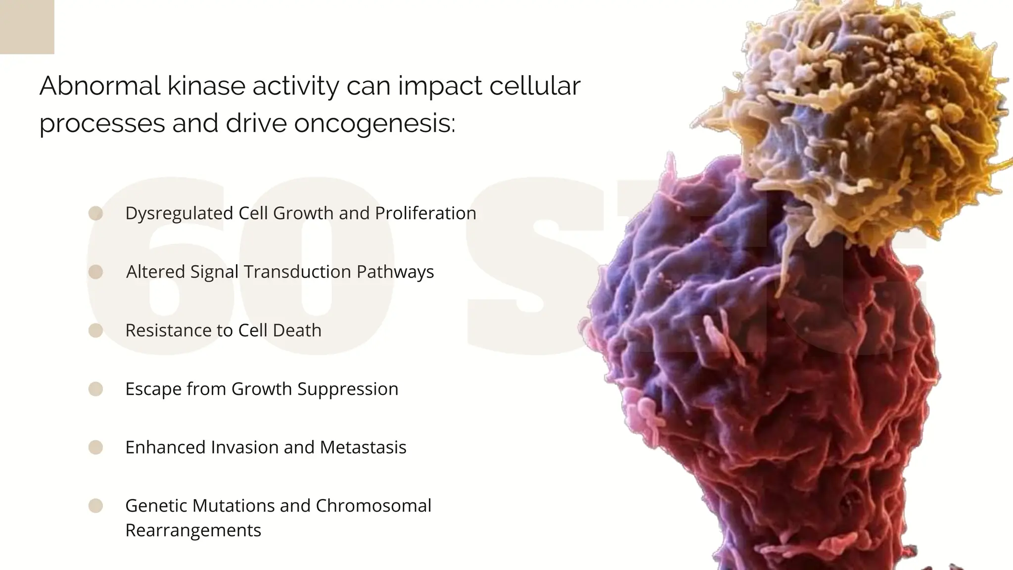 Kinase inhibitors in cancer treatment.pptx