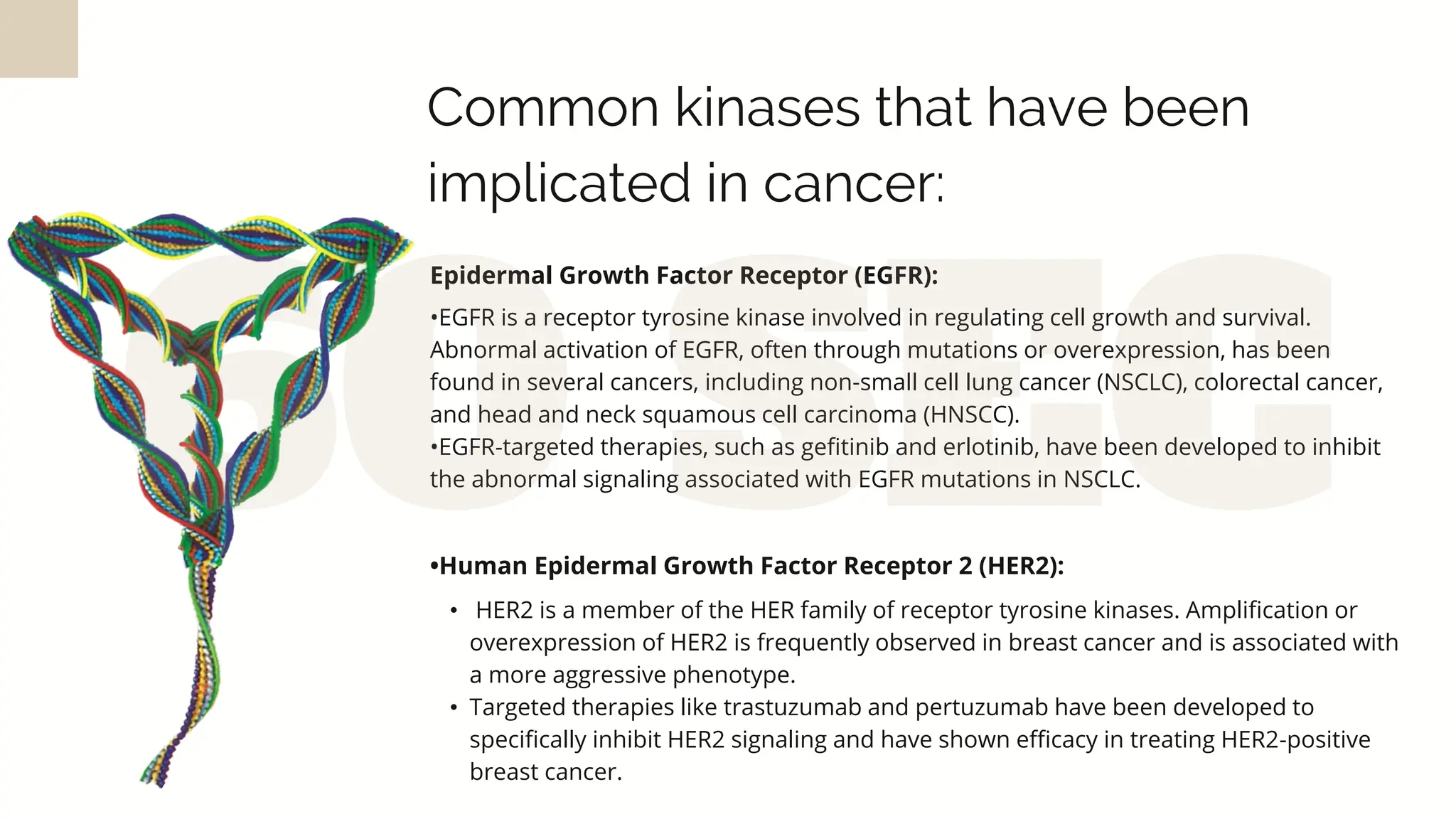 Kinase inhibitors in cancer treatment.pptx