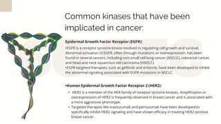 Kinase inhibitors in cancer treatment.pptx