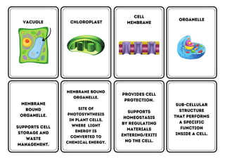 Minimalist Biology Cell Organelles Science Flash Cards | PDF ...