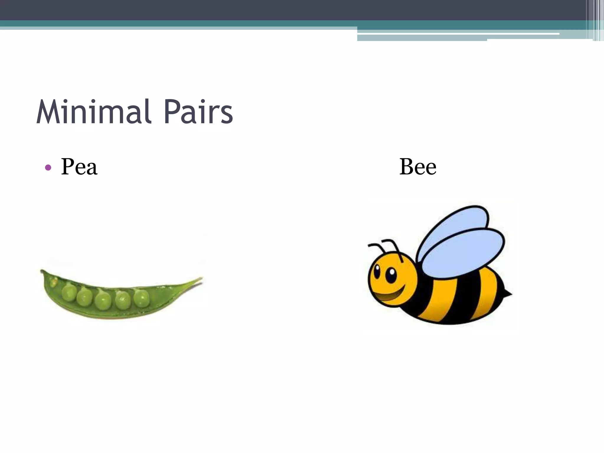 Minimal pairs ESL Activity | PPTX