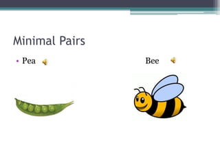 Minimalpairs | PPTX