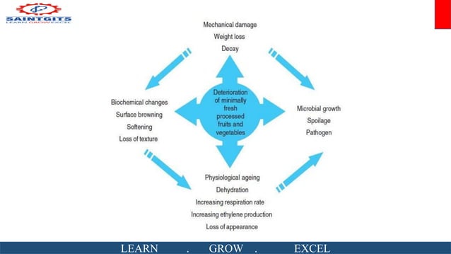 Minimal processing | PDF