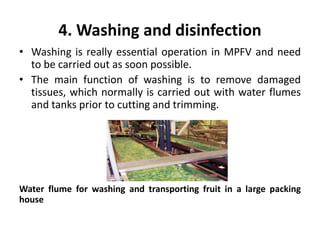 minimal processing of fruits and vegetables.pptx
