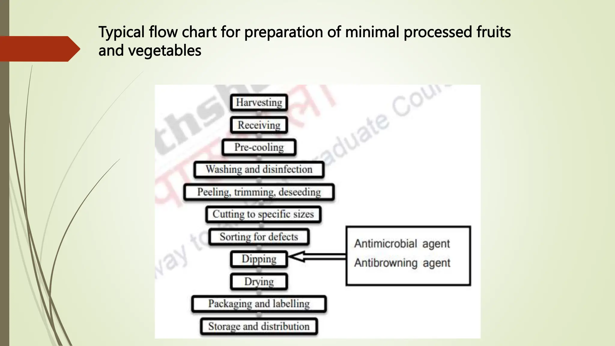 Minimal Processing of Fruits & Vegetables.pptx