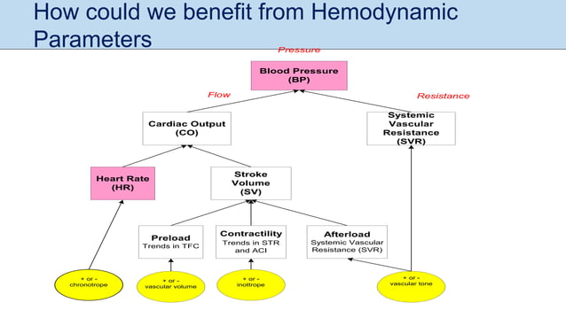 Minimaly invasive hemodynamic monitoring for hepatic patients | PDF