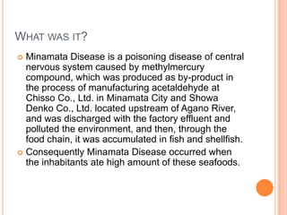 Minimata Disaster | PPTX