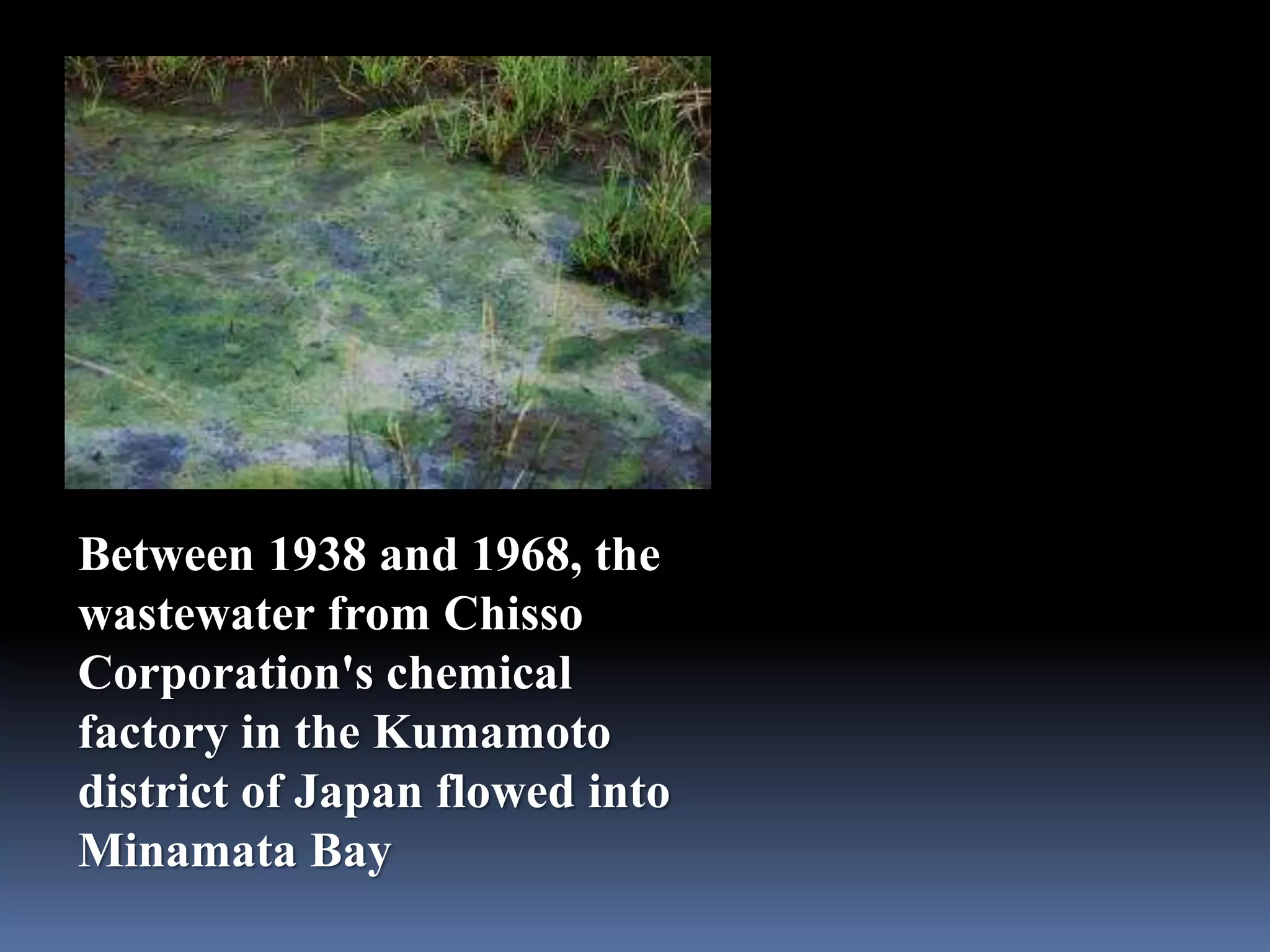 Minimata disease | PPTX