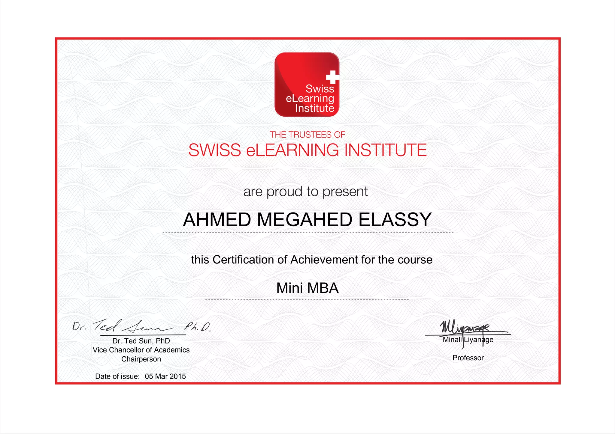 Mini MBA certificate | PDF