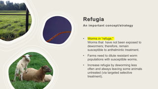 MinimizingDrugUse | PPT