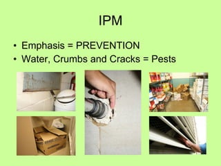 Minimizing Pest Problems And Reducing Pesticide Use | PPT