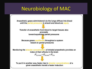 Minimum alveolar concentration (mac) | PPTX