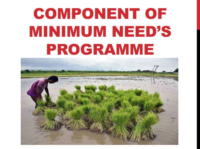 Minimum Need's Programme, Presented By Mohammed Haroon Rashid | PPTX