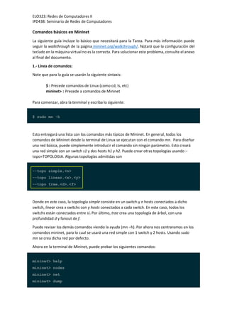 Mininet.pdf