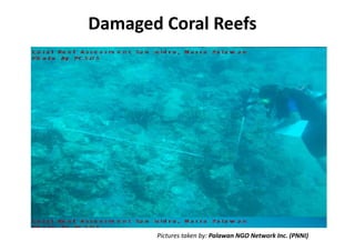 Mining Palawan 03 | PDF