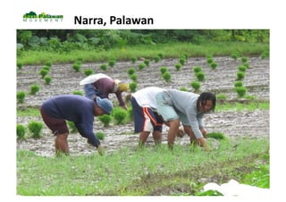 Mining Palawan 03 | PDF