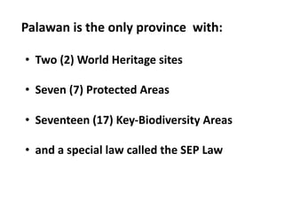 Mining Palawan 03 | PDF