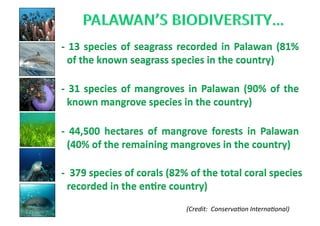 Mining Palawan 03 | PDF