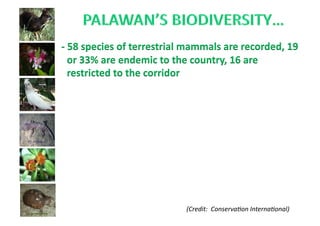 Mining Palawan 03 | PDF