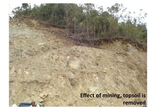 Mining Palawan 03 | PDF