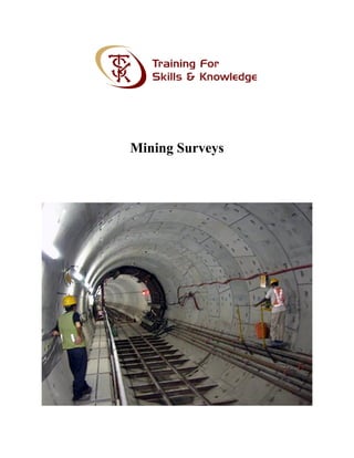 Mining surveys | PDF