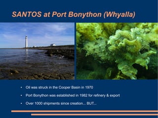Mining & the South Australian Environment slideshare | PDF