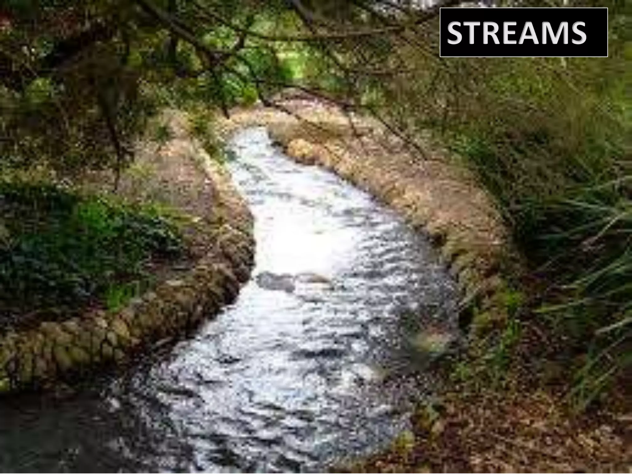 Mining vocabulary | PPTX | Programming Languages | Computing