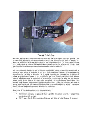 Secuenciador de nanoporos (Nanopore sequencing) MinIon Mk1C | PDF