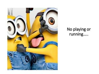 lab safety rules | PPT