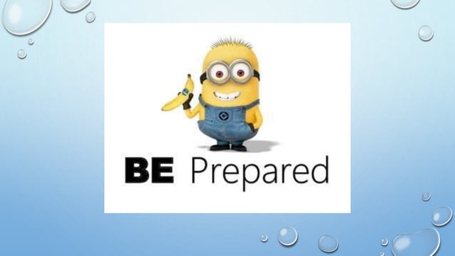 Minion rules | PPT