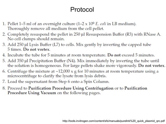 Miniprep Lecture | PPT