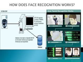 face recognition using Principle Componet Analysis | PPTX
