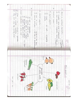UNIT 1 BIOCHEMISTRY_BIOMOLECULE_MINI PROJECT.pdf