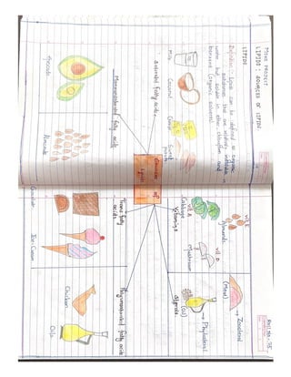 UNIT 1 BIOCHEMISTRY_BIOMOLECULE_MINI PROJECT.pdf