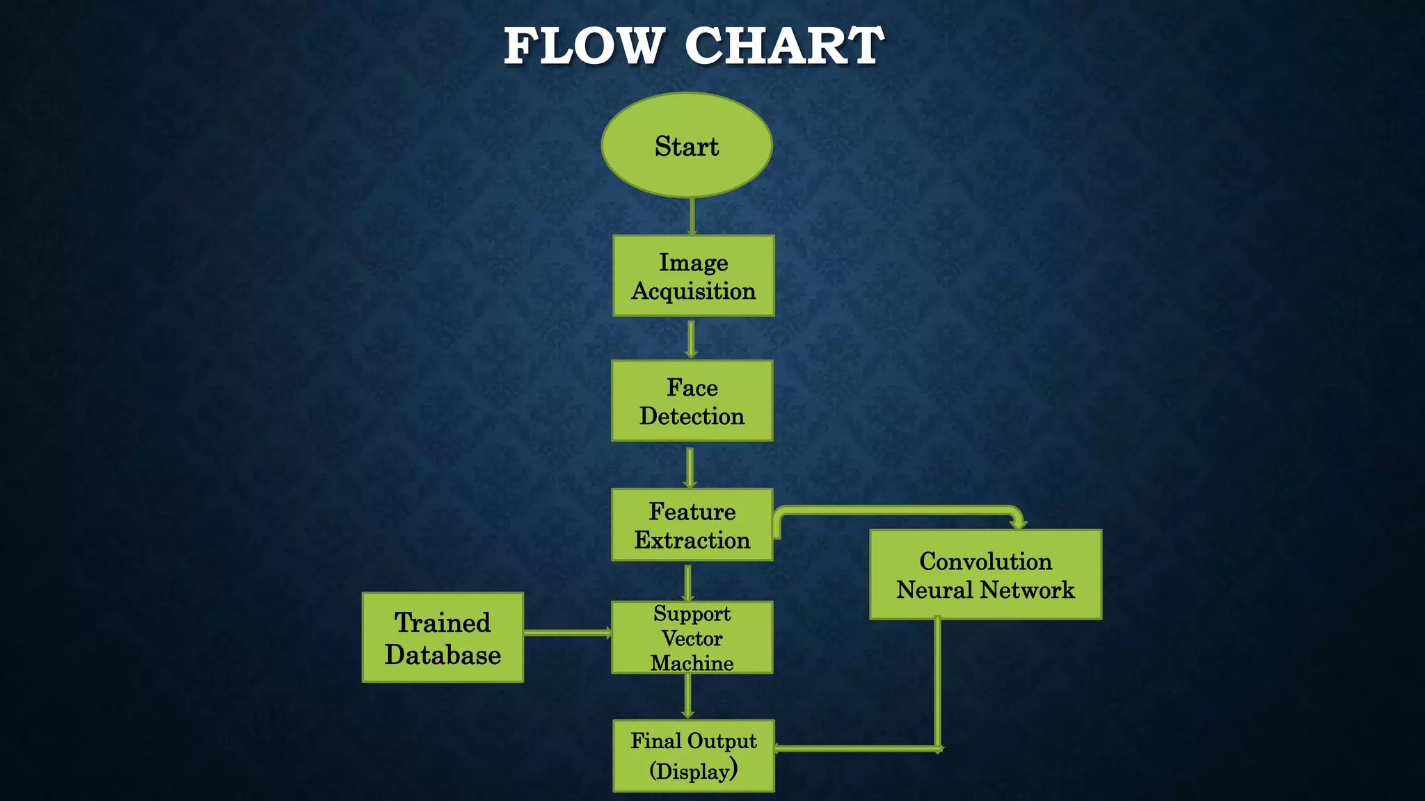 Human Age And Gender Detection Pptx