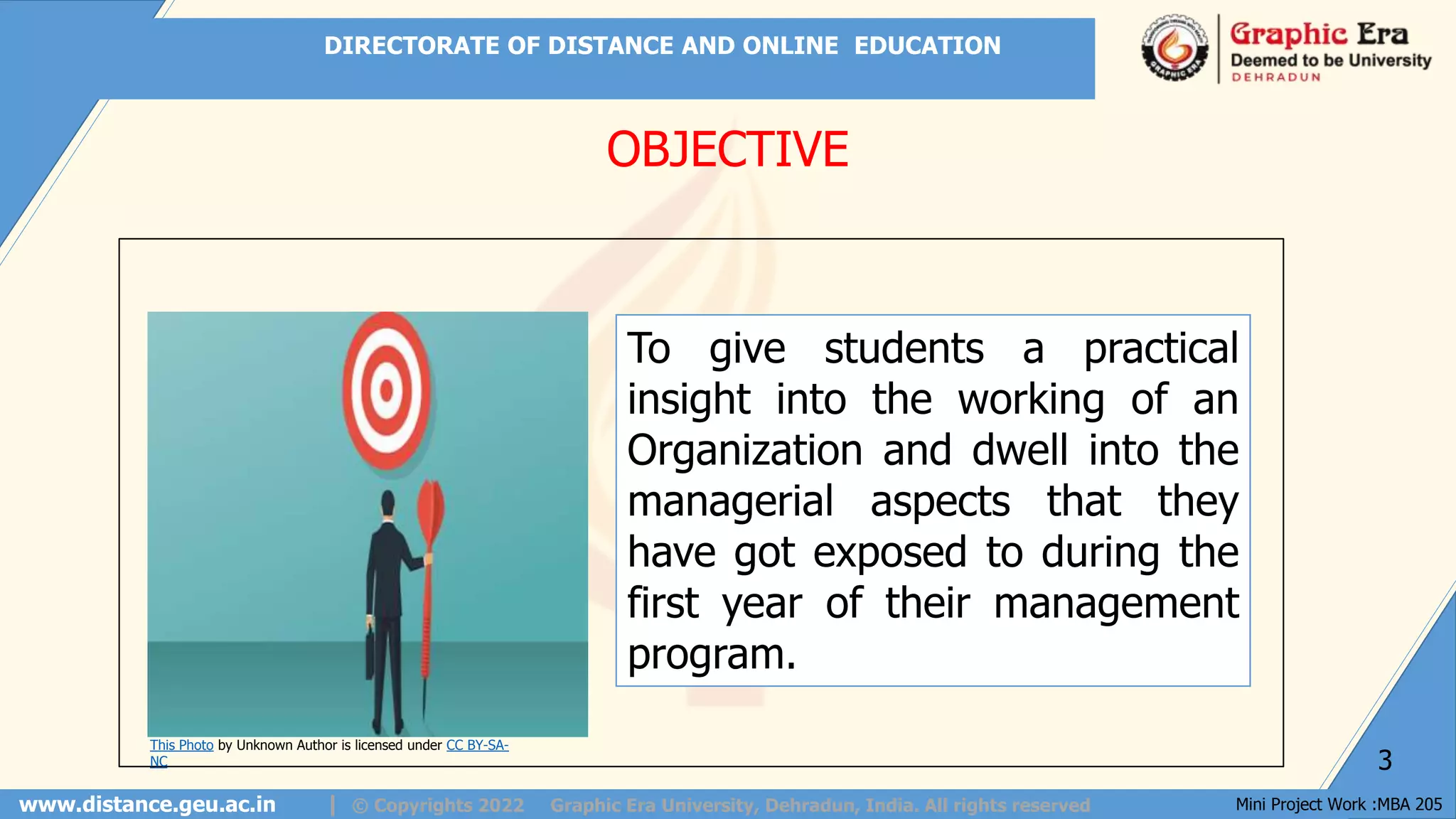 Mini Project MBA.pptx